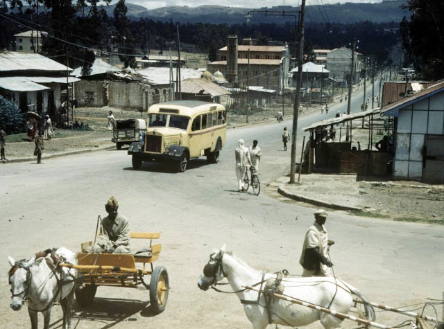 WW2 Pictures of the North African Campaign