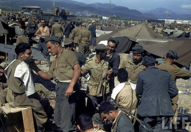 WW2 Pictures of the North African Campaign