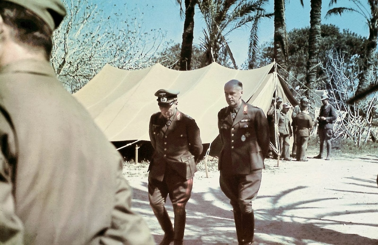 WW2 Pictures of the North African Campaign